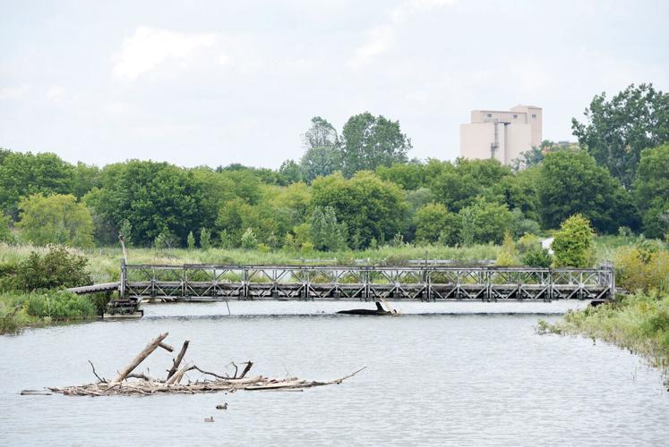 Oshawa digs into final piece of waterfront lands cleanup this summer