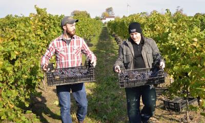 Niagara-on-the-Lake’s Pillitteri a family affair
