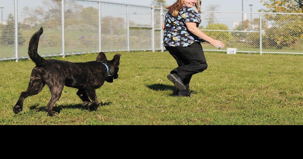 New dog run constructed at Durham humane society