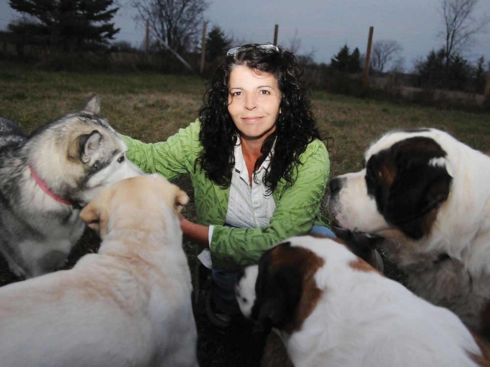 Oshawa dog owners howling over doggy daycare closure