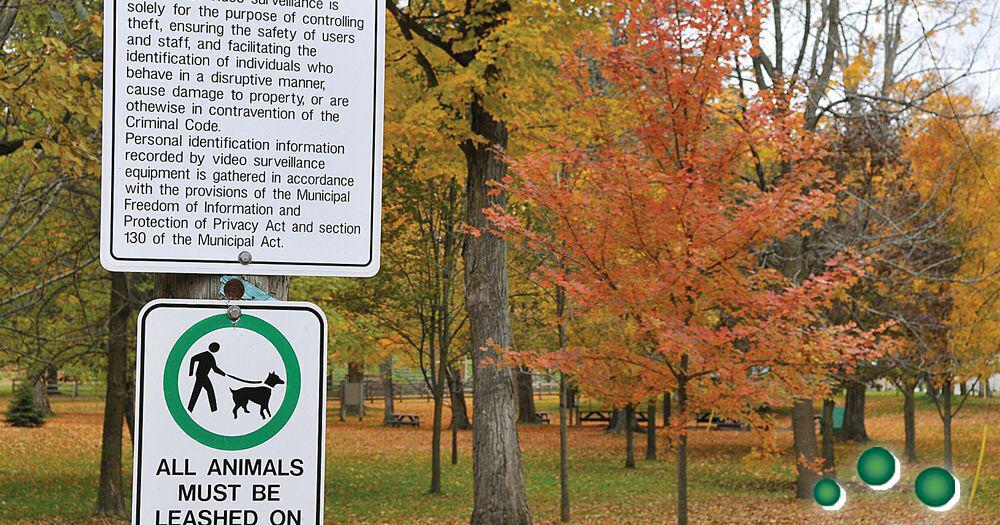 Accessible playground coming to Uxbridge’s Elgin Park