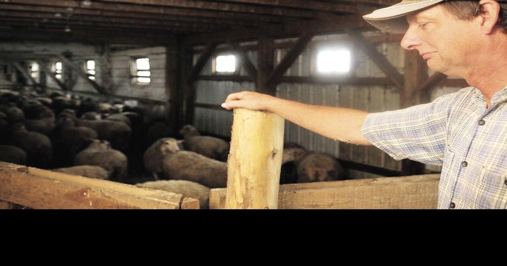 Durham farms invite residents to check out agricultural life