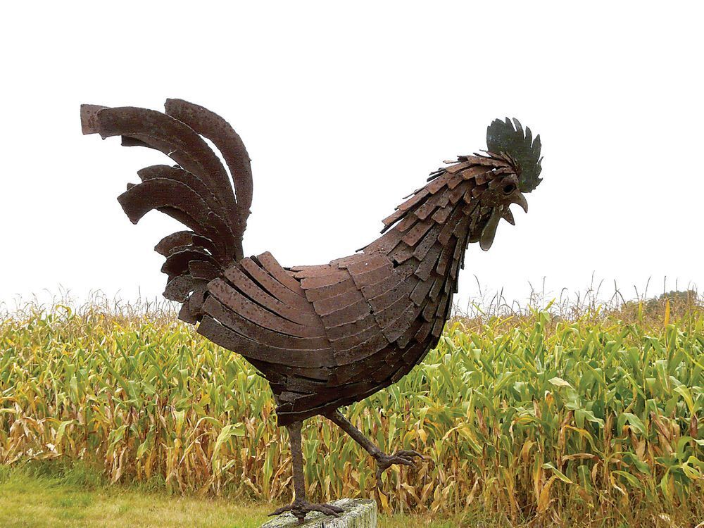 Clarington farmer hopes for return of rooster sculpture