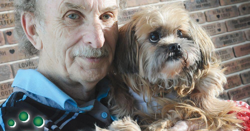 Neglected Whitby dog now living happy life in Scarborough