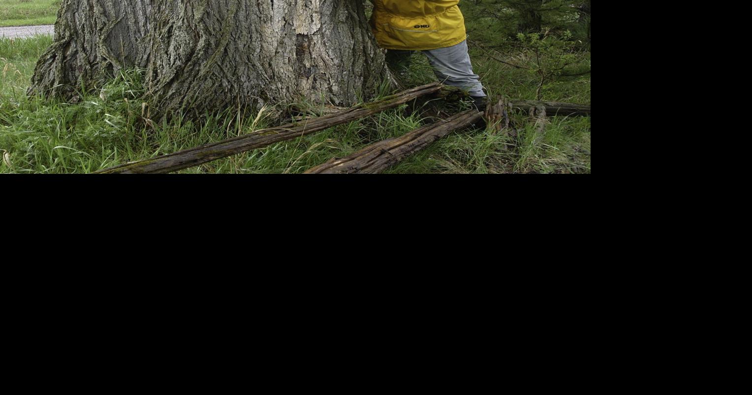 North Durham Nature to explore botany at April meeting