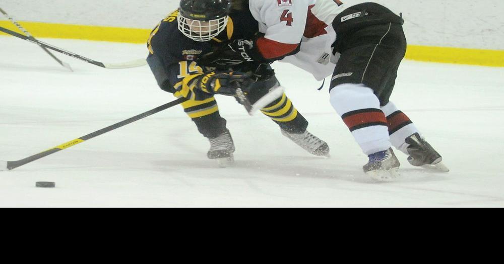 Whitby Wolves upset by Ottawa in PWHL playoffs