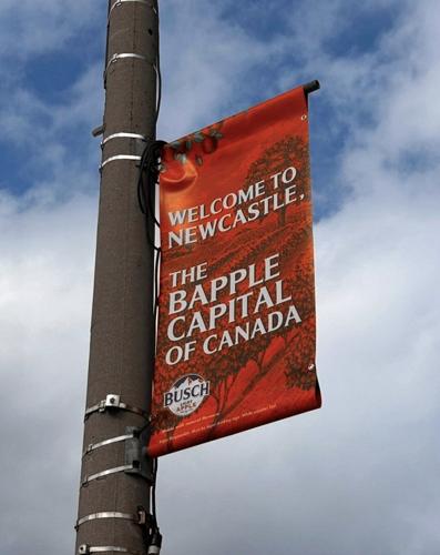 Spring Apple Pop-up comes to downtown Newcastle