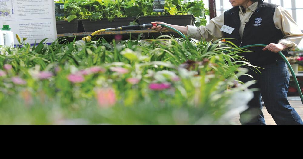 Start small when planning a perennial garden in Durham, says Whitby ...