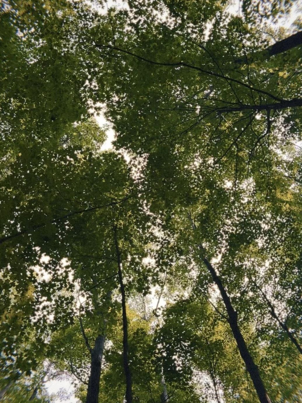 3 things I wish I knew before visitng Awenda Provincial Park