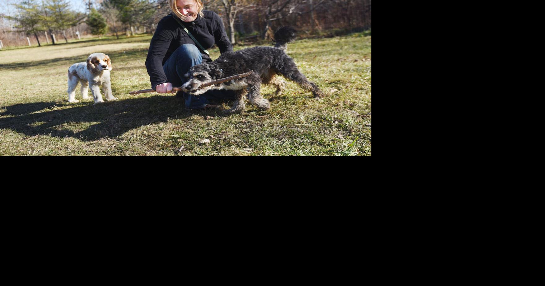 'Hopes and dreams' for Port Perry dog park