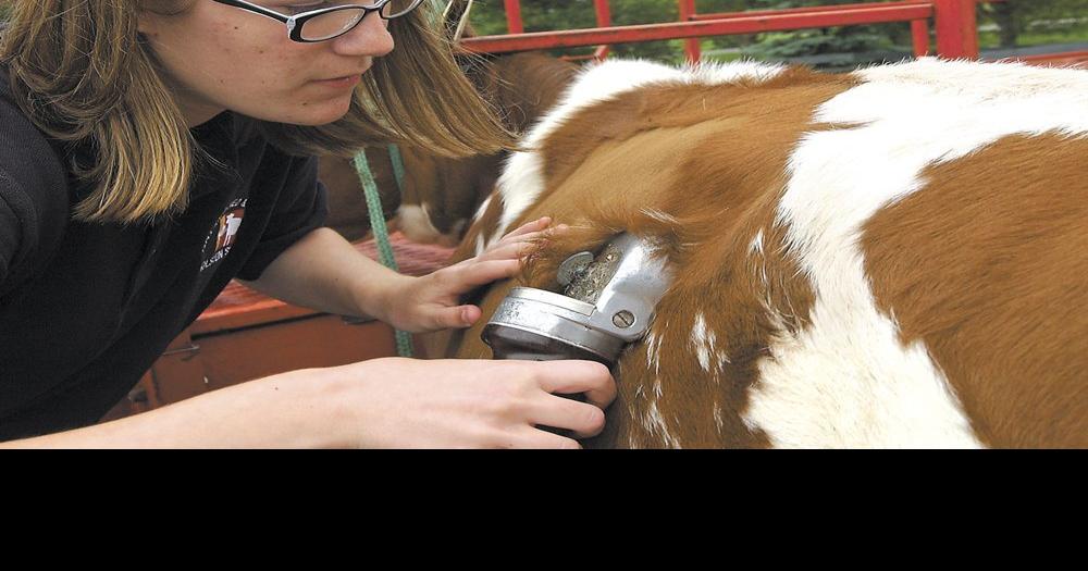 Brooklin Spring Fair runs May 31 to June 3