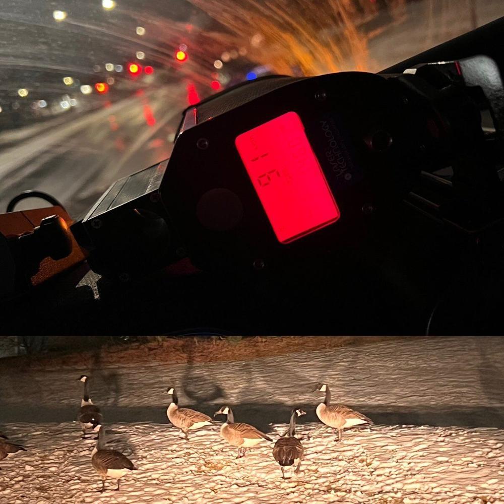 ‘Don’t be a silly goose’: Police nab speeders in Durham