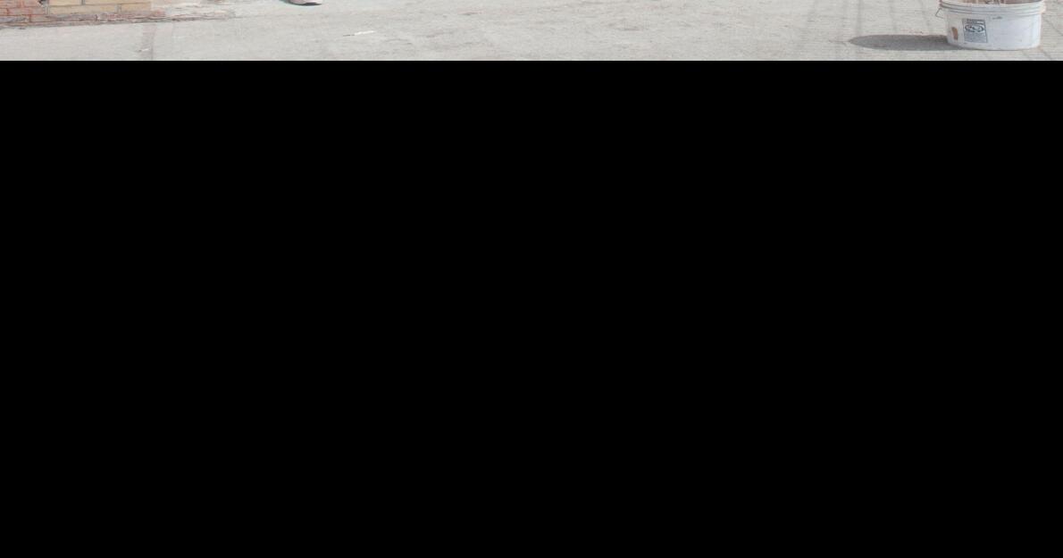 What does the new Cannington library look like?