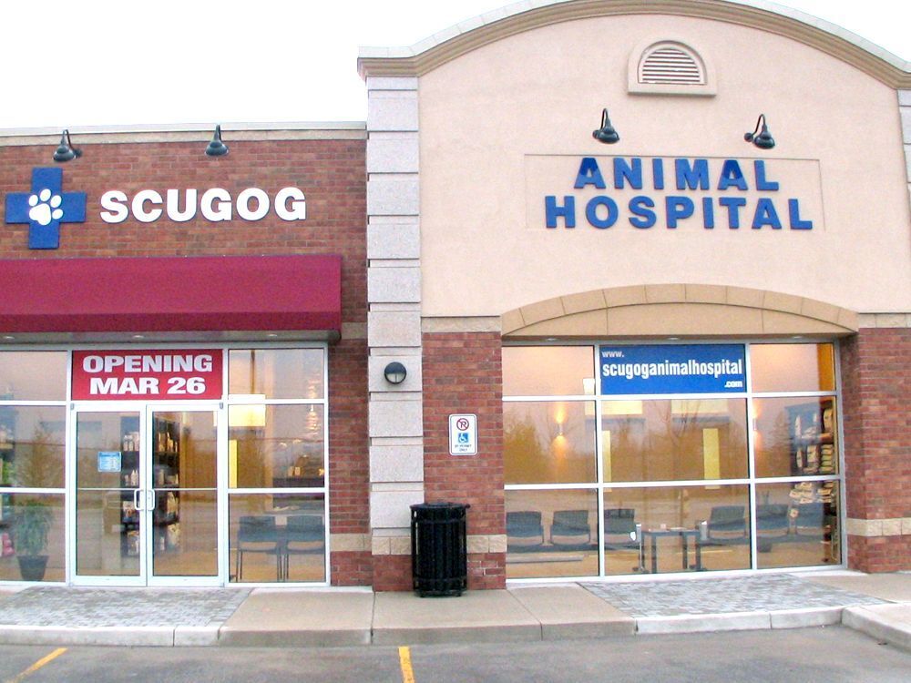Scugog Animal Hospital celebrates one year on Old Simcoe Road