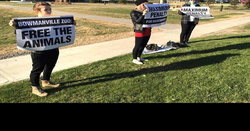 Bowmanville Zoo's Michael Hackenberger in court today to face animal ...