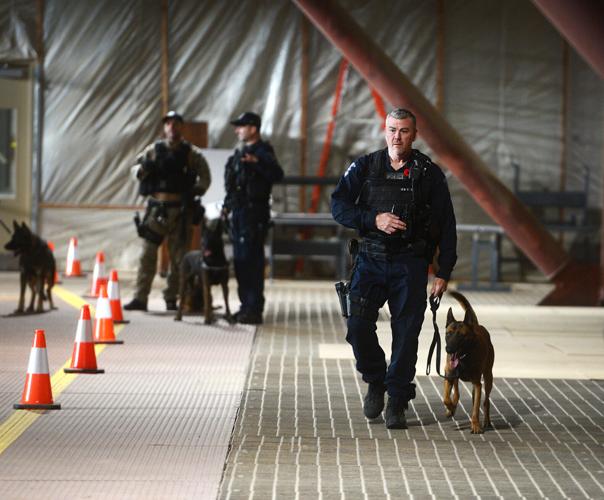 What it takes to make the Durham police canine team
