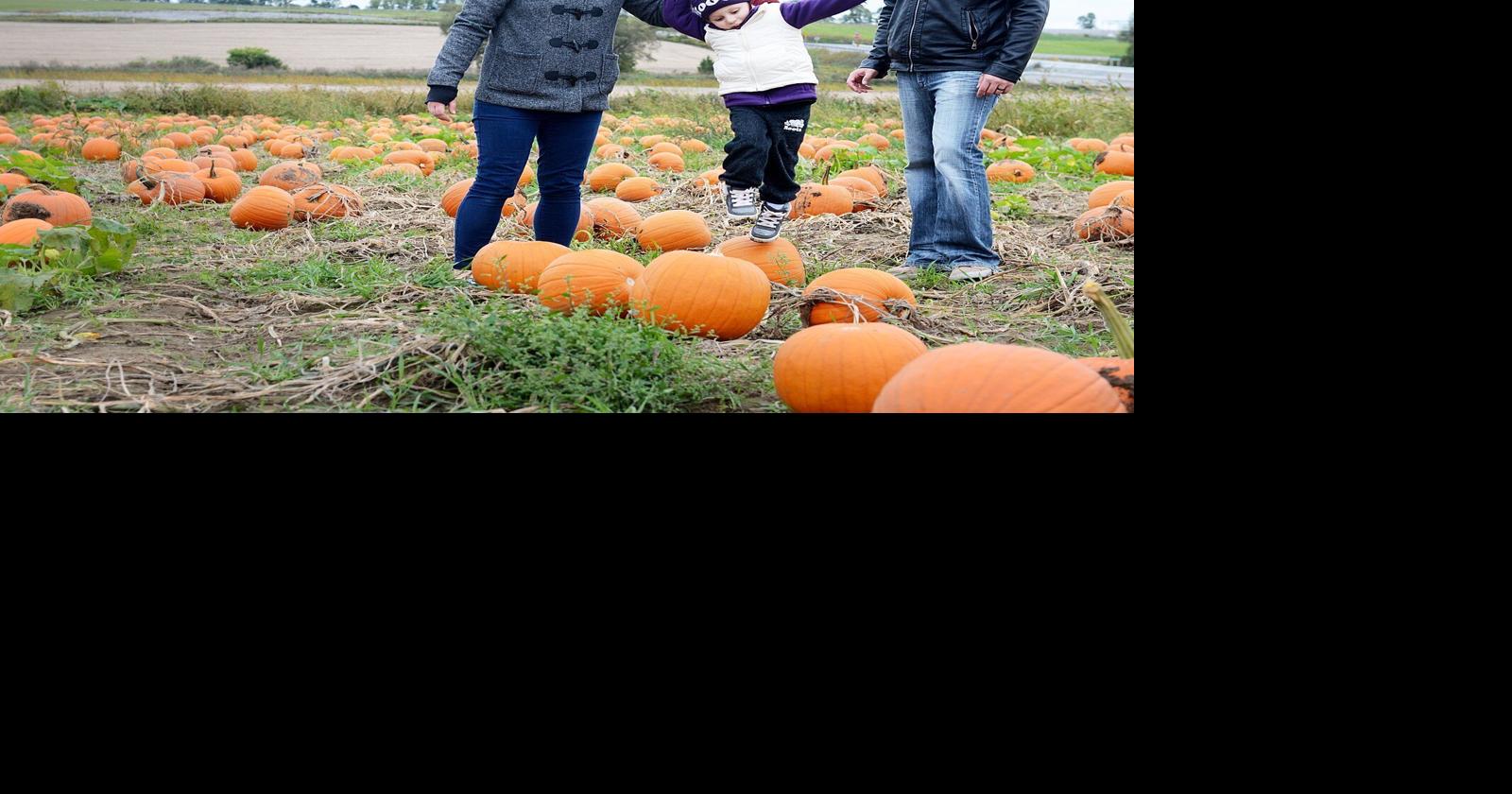 Lots of fall farm fun: What to do in Durham on the weekend of Oct. 1 and 2