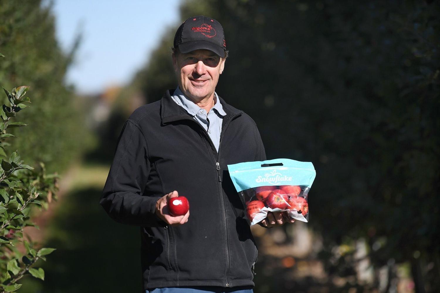 Algoma Orchards launches Snowflake Apple