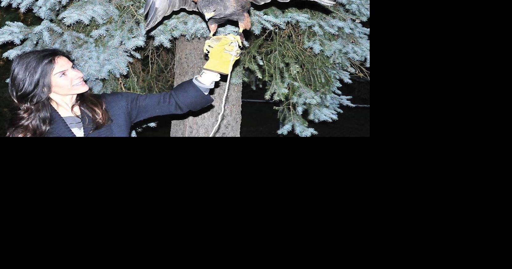 Whitby family hunts for missing pet hawk Lucy