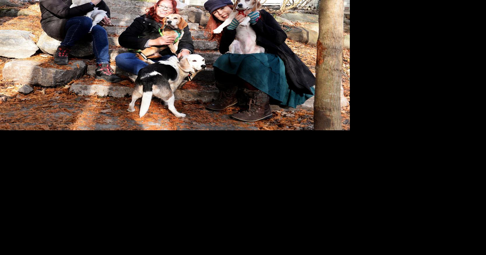 Beagle Bash needs community support for senior rescue dogs