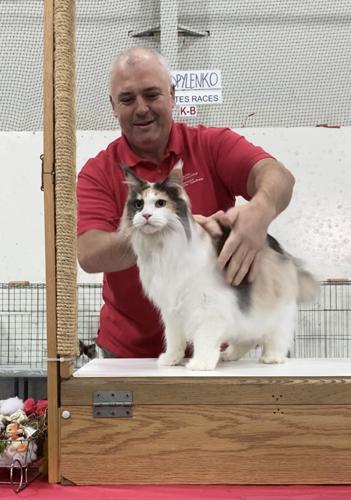 Upcoming show will be the cat's meow in Whitby