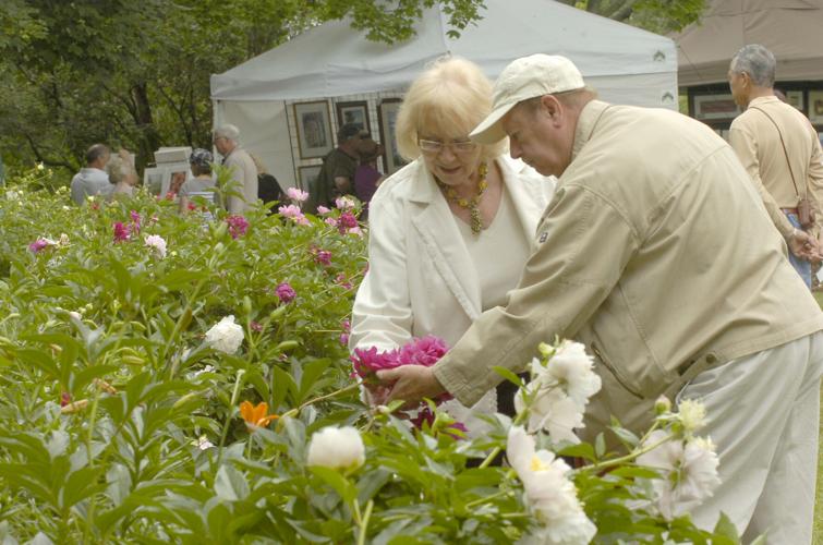 Peony Festival returns to Oshawa for 22nd year