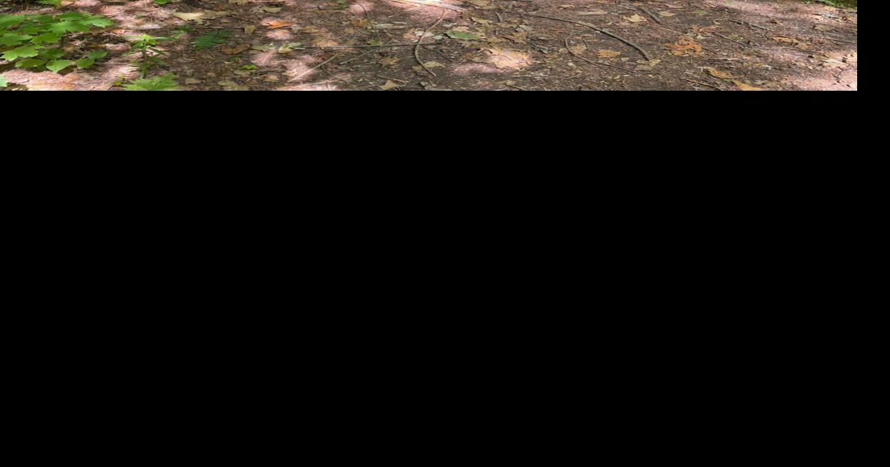 TRAILS CLOSED: Hikers headed to Long Sault Conservation Area will need ...