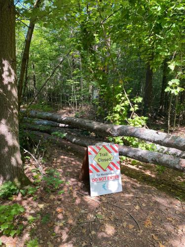 TRAILS CLOSED: Hikers headed to Long Sault Conservation Area will need ...