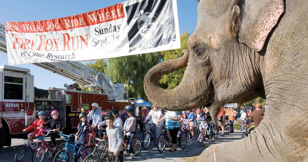 The elephant in the room at the Bowmanville Santa Claus Parade