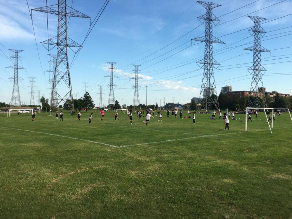 Dad pulls son off hydro field in Pickering after microshocks
