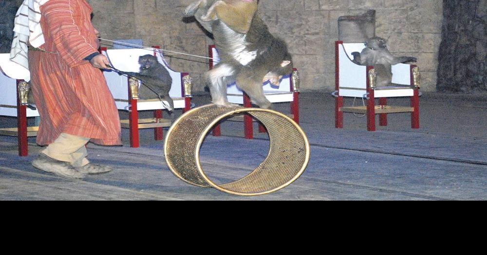 Bowmanville Zoo presents live animal theatrical performance