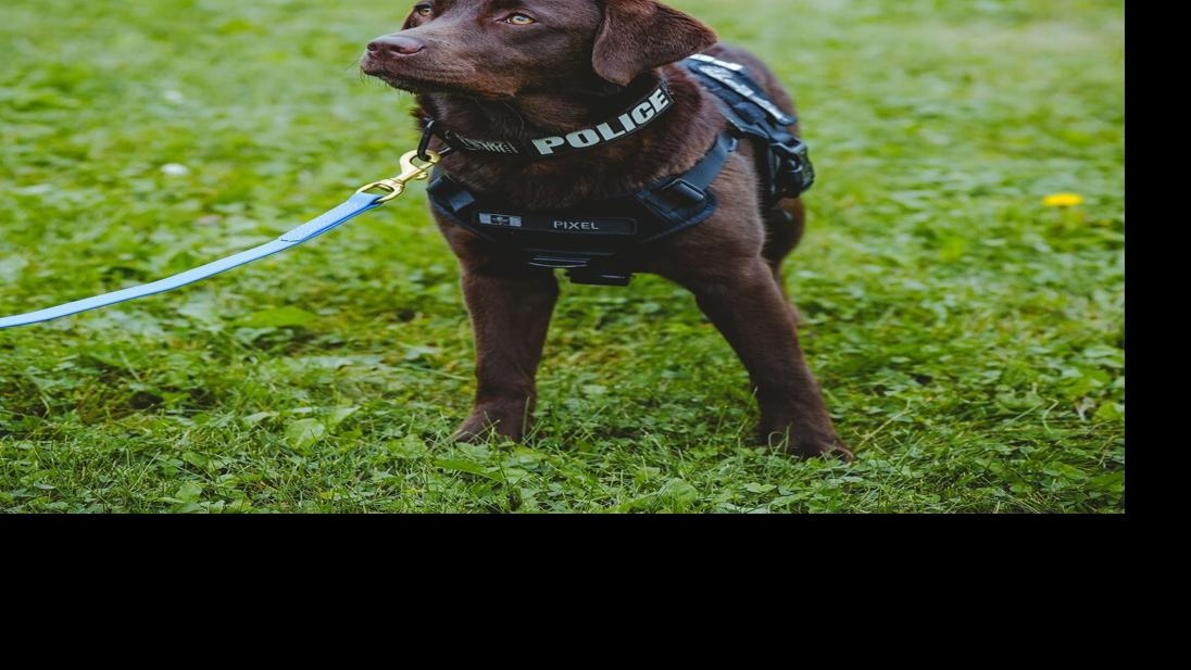 Durham, Peel K9 officers to attend national announcement