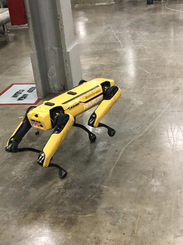 WATCH VIDEO: Spot the robot dog performs tricks at Pickering nuclear plant