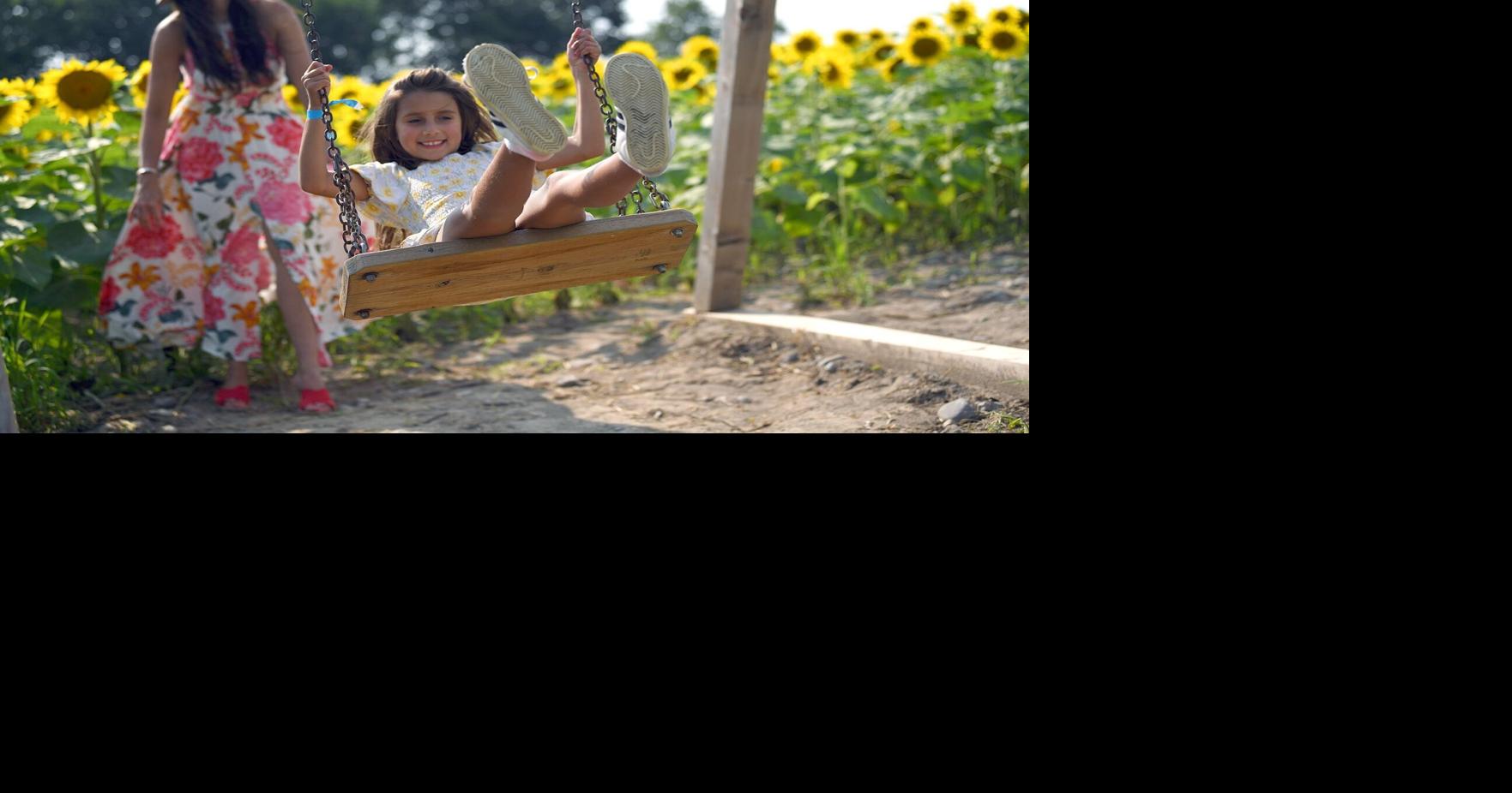 Farm fresh summer: Visit one of Durham’s destination farms