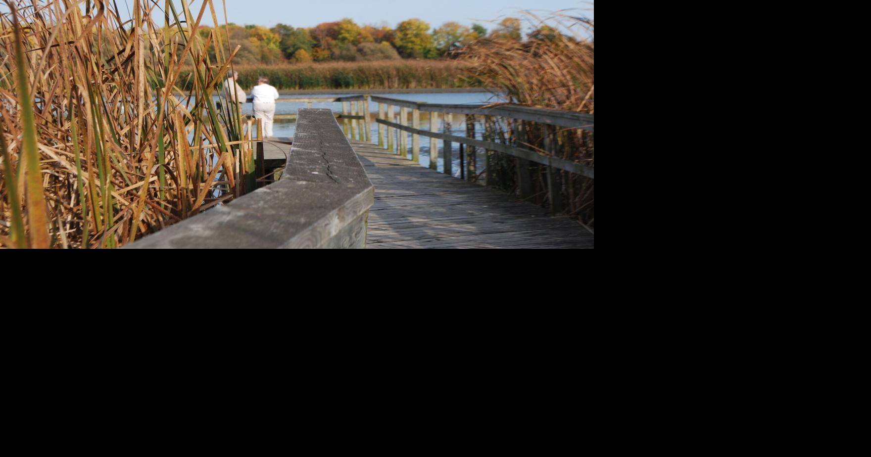 7 great places to see the fall colours in Durham Region