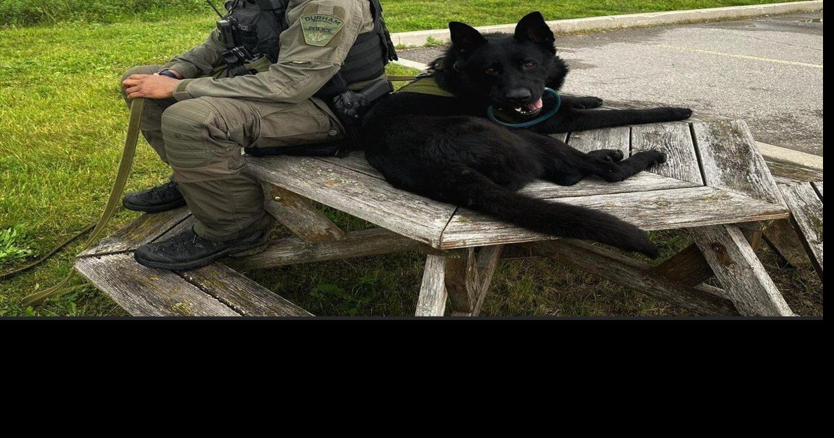 Durham police K9 unit adds a new dynamic duo to fight crime