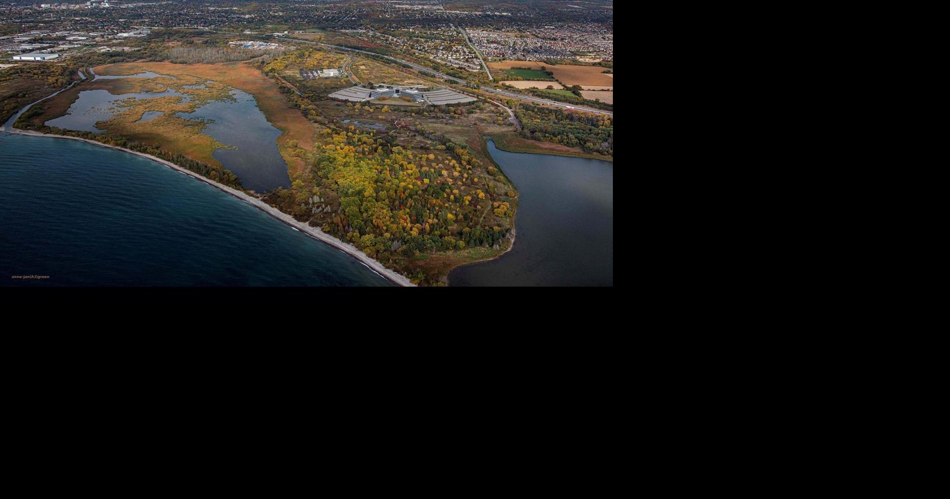 Winter is a wonderful time to visit Oshawa Second Marsh