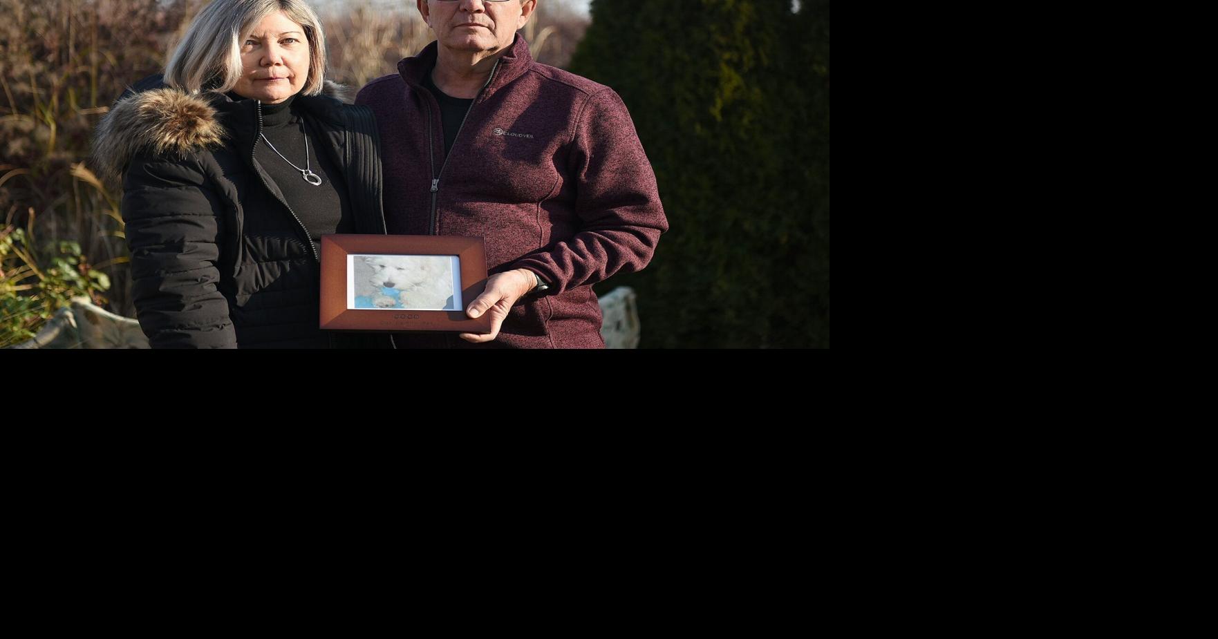 Map: Coyotes losing inhibitions in Durham, other urban areas