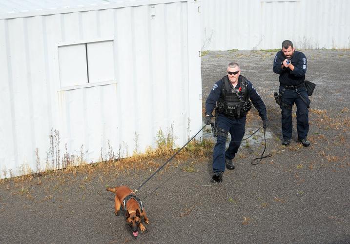 What it takes to make the Durham police canine team
