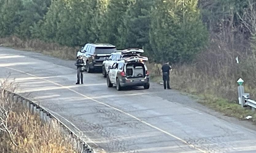 'Large' police presence searching rural Pickering area