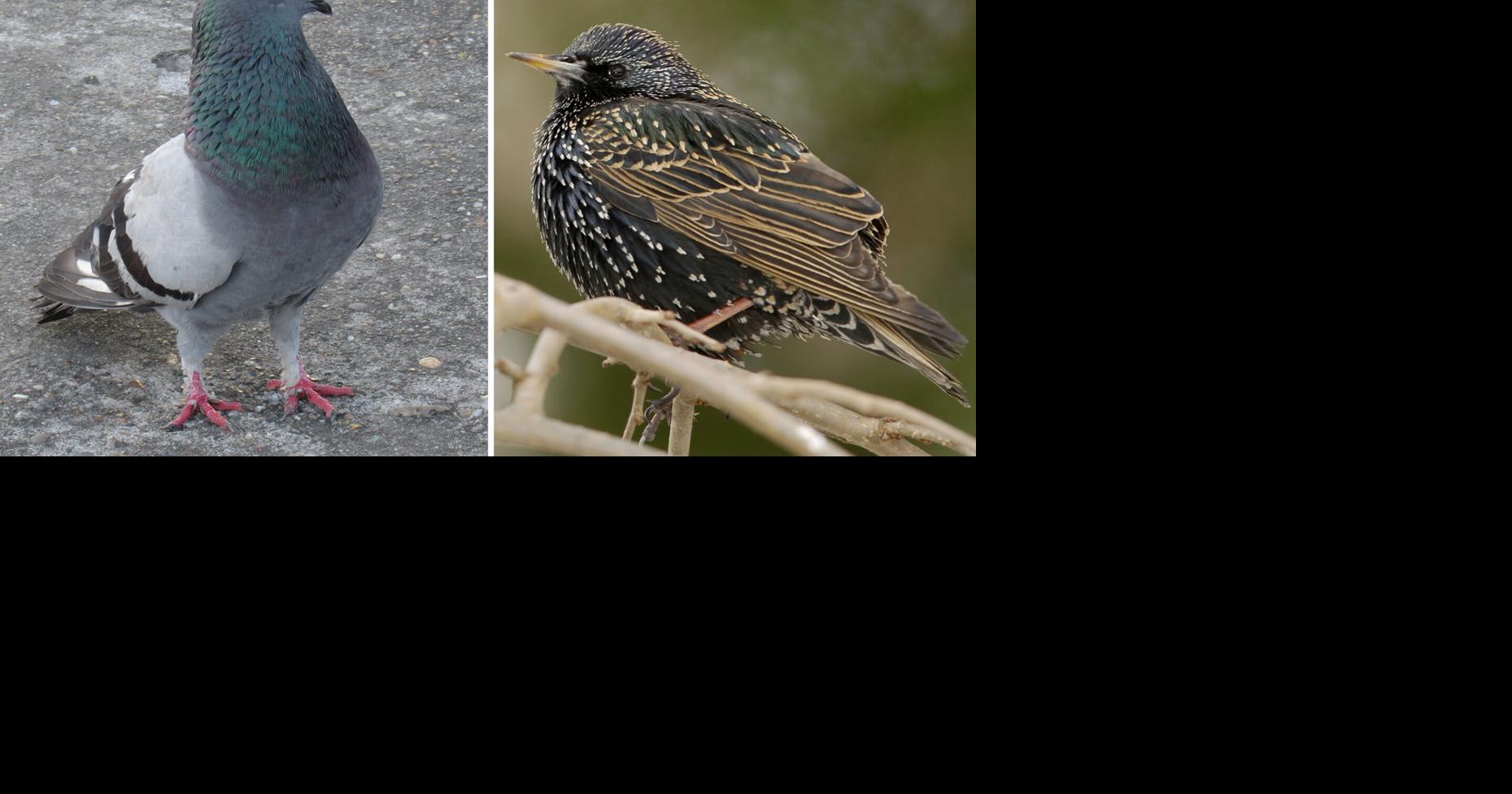 Whitby columnist spent a week driving through Durham and checking out ...