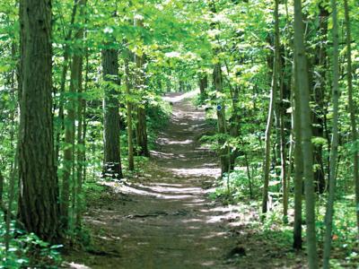 Top 5 Mountain biking trails in Durham