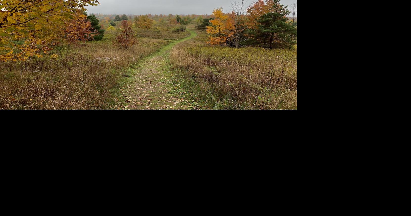 Book ahead to secure spot: Your guide to visiting Algonquin