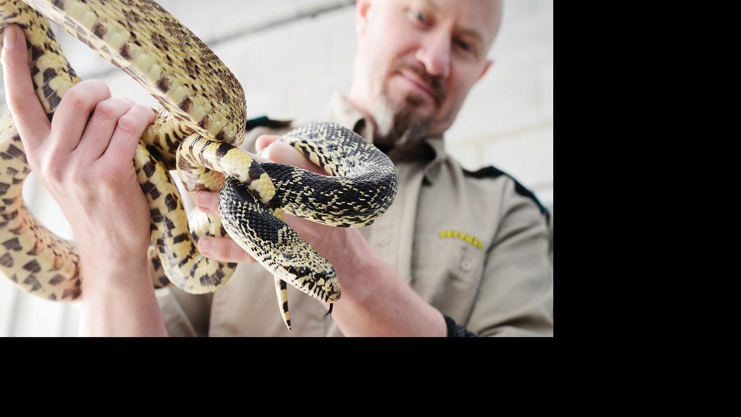 Reptilia slithers into Whitby this summer