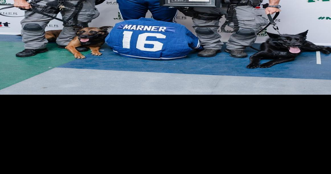 Mitch Marner gives DRPS K9 unit assist with training suit