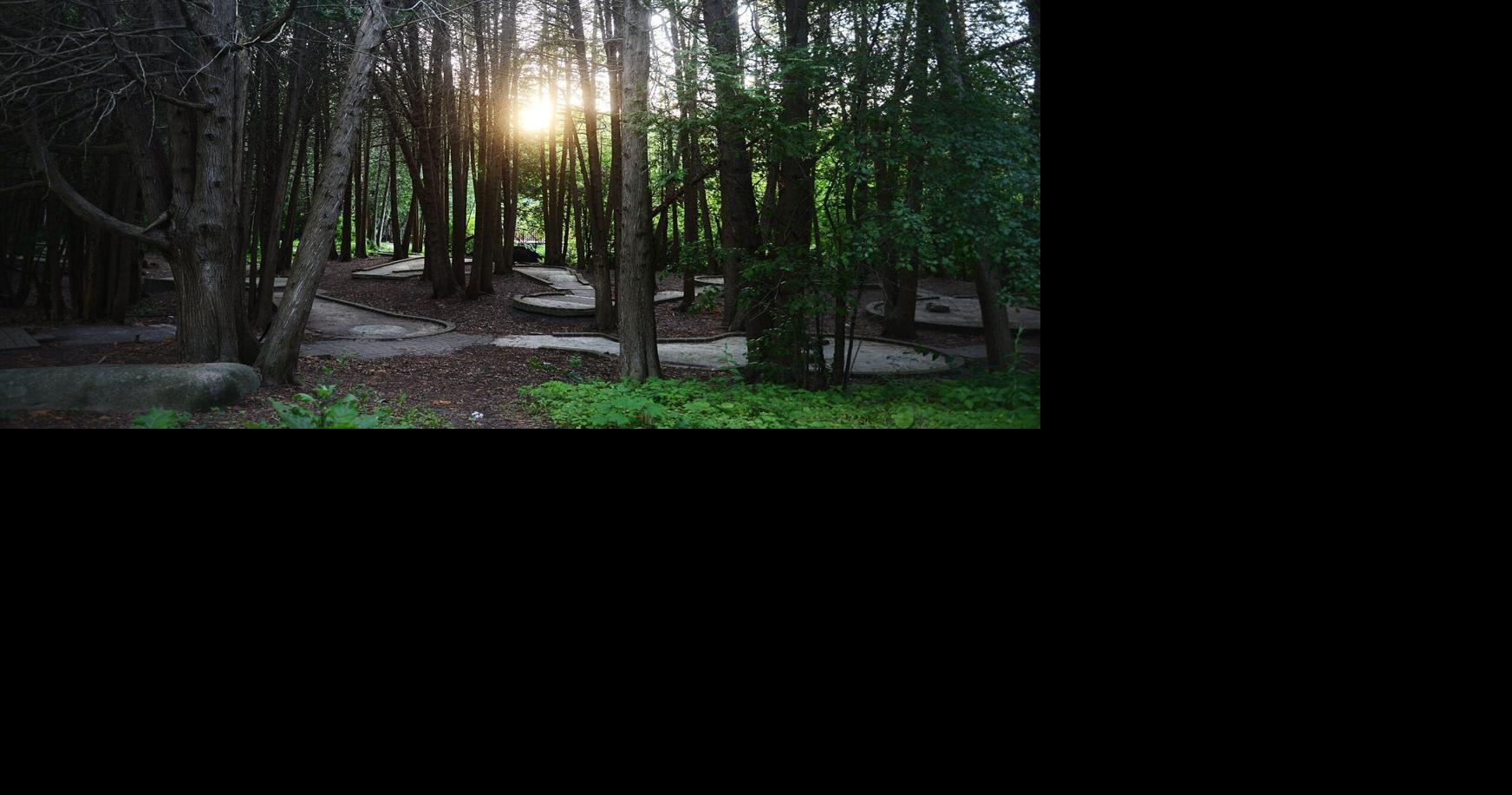 Whitby comprehensive tree preservation plan 'long overdue' councillor says