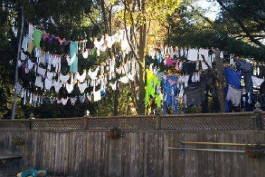 Mississauga draws line on neighbours’ dirty laundry