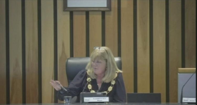 ‘Unacceptable behaviour’ a problem on Whitby council: Mayor