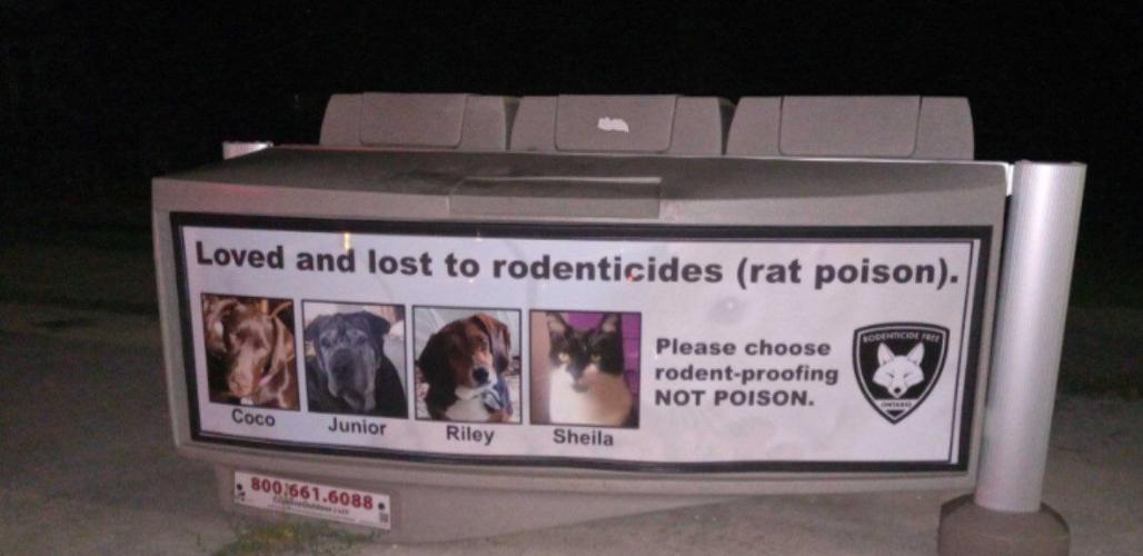 Pickering councillor pushes for end to rodenticide