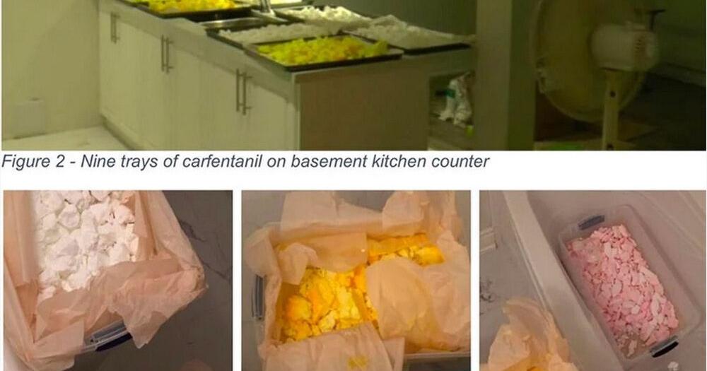 Pickering man was given a 20-year sentence for part in carfentanil ...